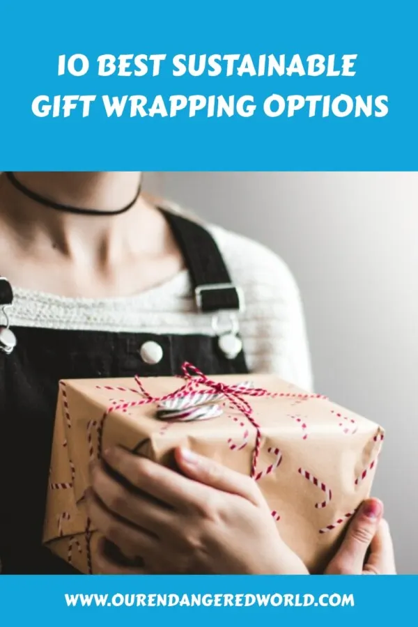 10 Best Sustainable Gift Wrapping Options