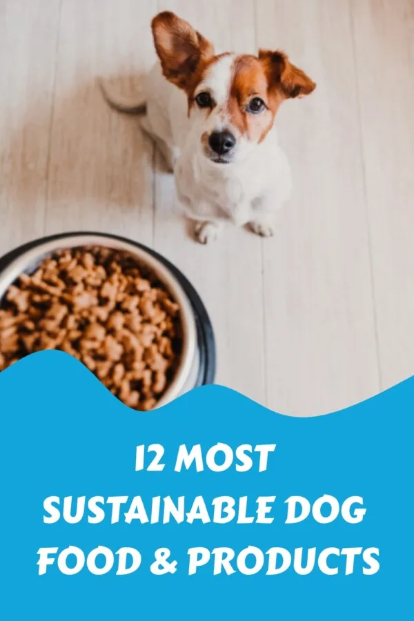 12 Most Ethical, Sustainable Dog Food & Products
