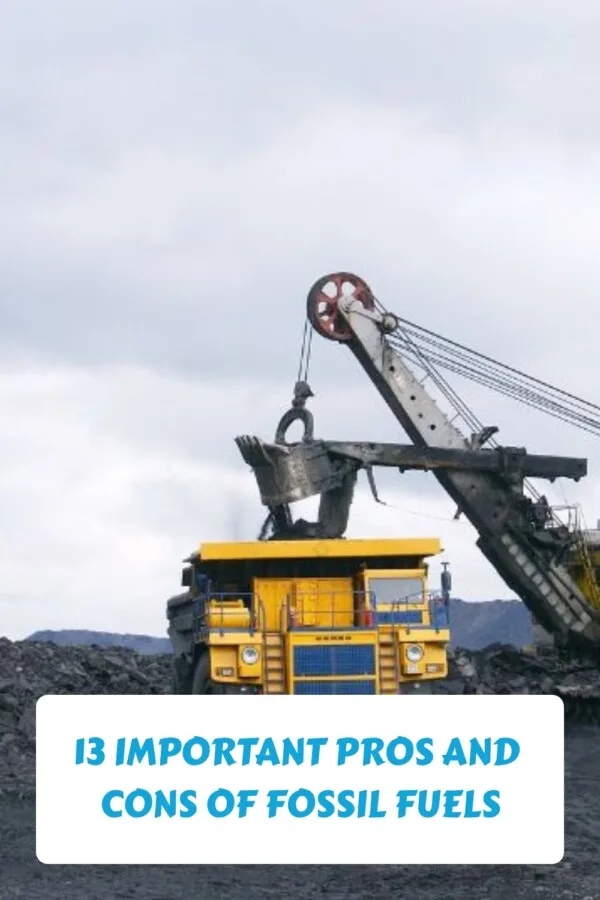 13 Important Pros and Cons of Fossil Fuels
