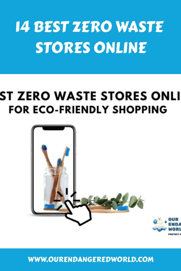 14 Best Zero Waste Stores Online for Eco-Friendly Shopping