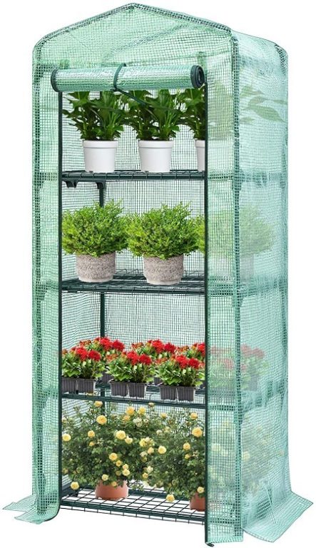 10 Best Mini Greenhouses | Portable Options to Buy
