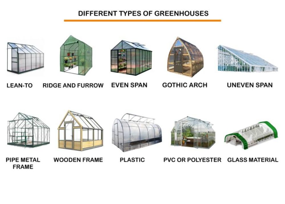 10 Different Types of Greenhouses | Structures and Designs