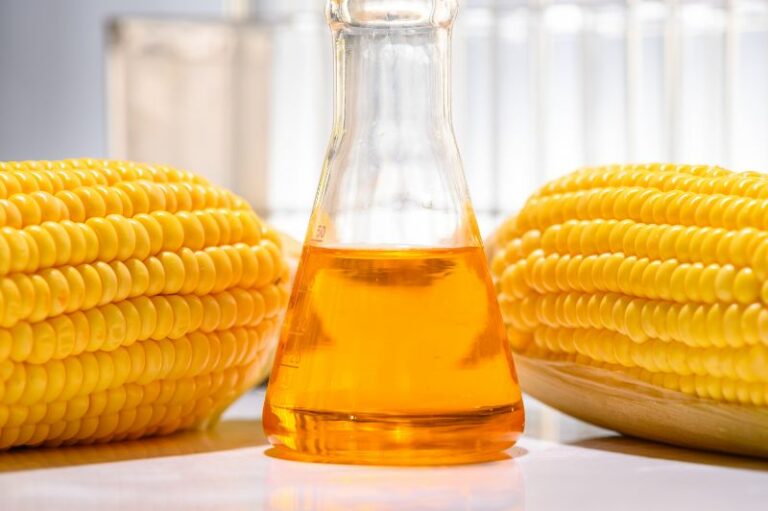 16 Important Pros and Cons of Biofuels to Know