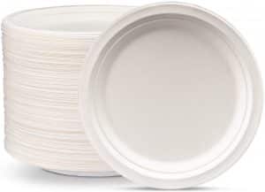 11 Best Compostable Plates: Eco-Friendly Options to Buy