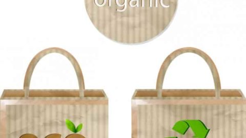 Panay Monitor Lizard (Varanus mabitang): A Species Profile