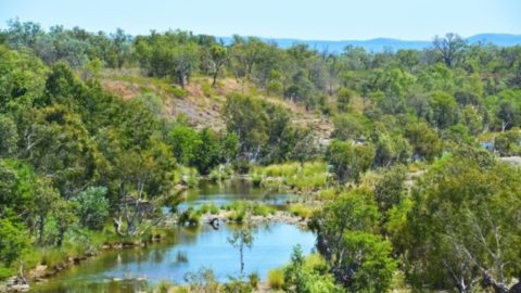 13 Interesting Examples of Habitats