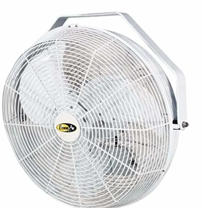 10 Best Greenhouse Fans to Buy Today