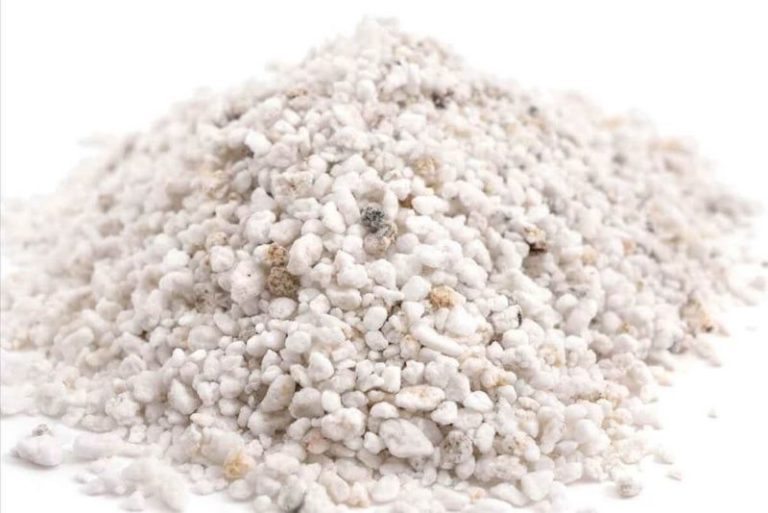 Coco Coir vs Perlite: Which is Best?