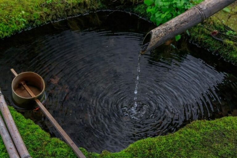 Breaking Down the Best Off-Grid Water Systems