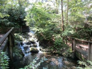 Breaking Down the Best Off-Grid Water Systems