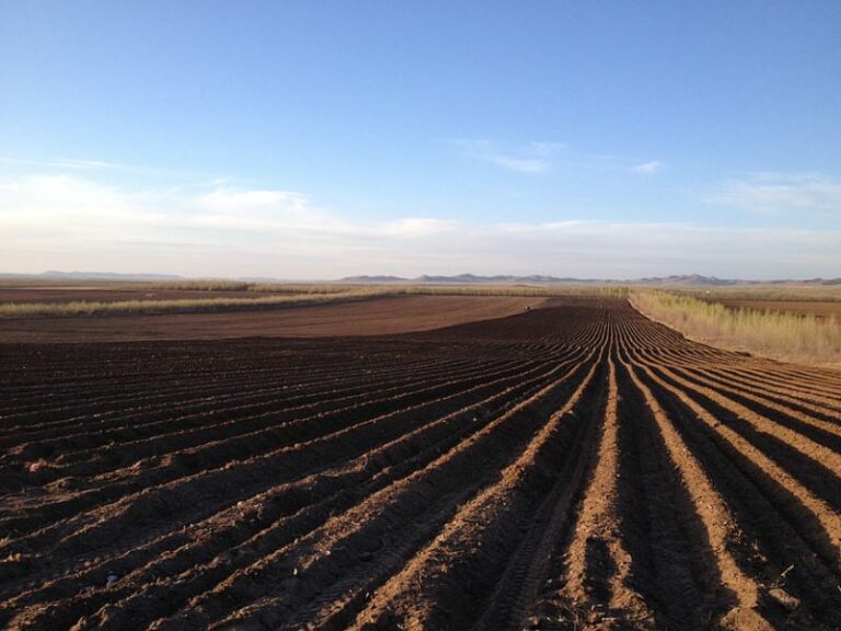 12 Different Types of Land