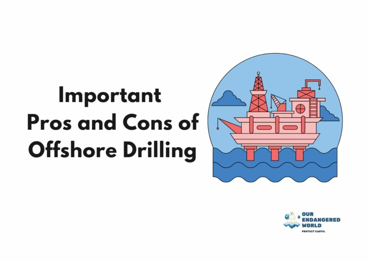 9 Important Pros and Cons of Offshore Drilling 9 Important Pros and Cons of Offshore Drilling