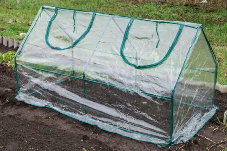 How to Choose the Right Greenhouse Size