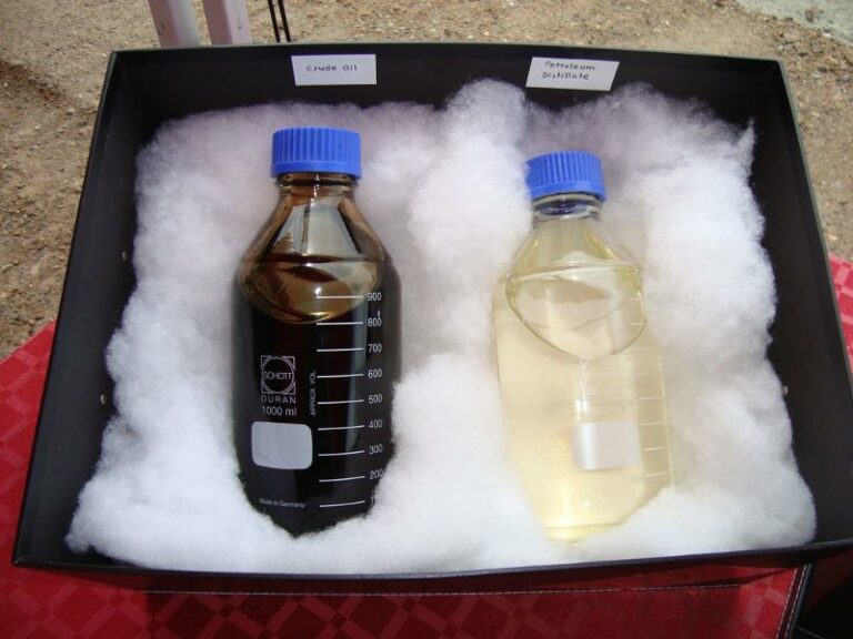 17 Important Algae Fuel Pros and Cons to Know