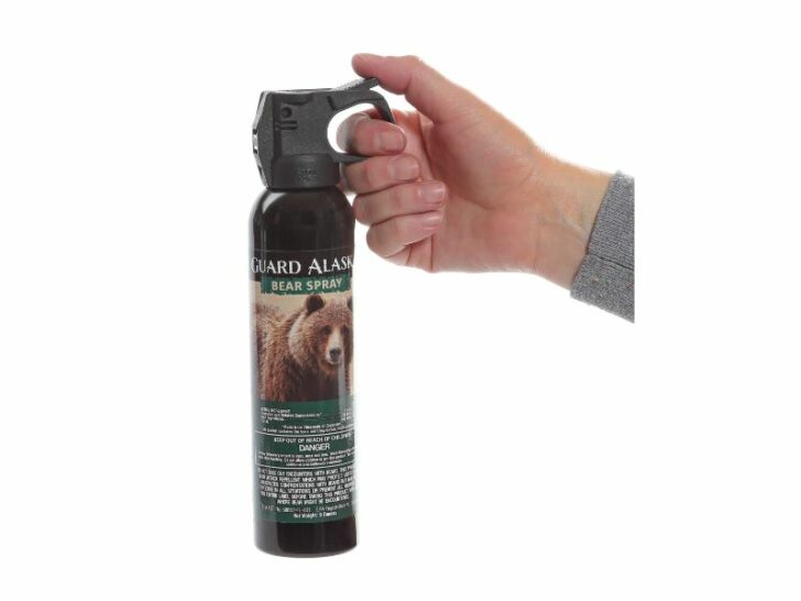 5 Best Bear Sprays: Top Choices for Safety in the Wild