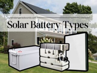 5 Important Different Types of Solar Batteries