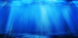 Exploring the Mysterious Depths of the Hadal Zone