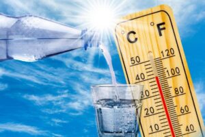 What is Climate Change Mitigation? Here's What to Know