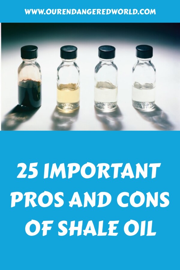 25 Important Pros and Cons of Shale Oil