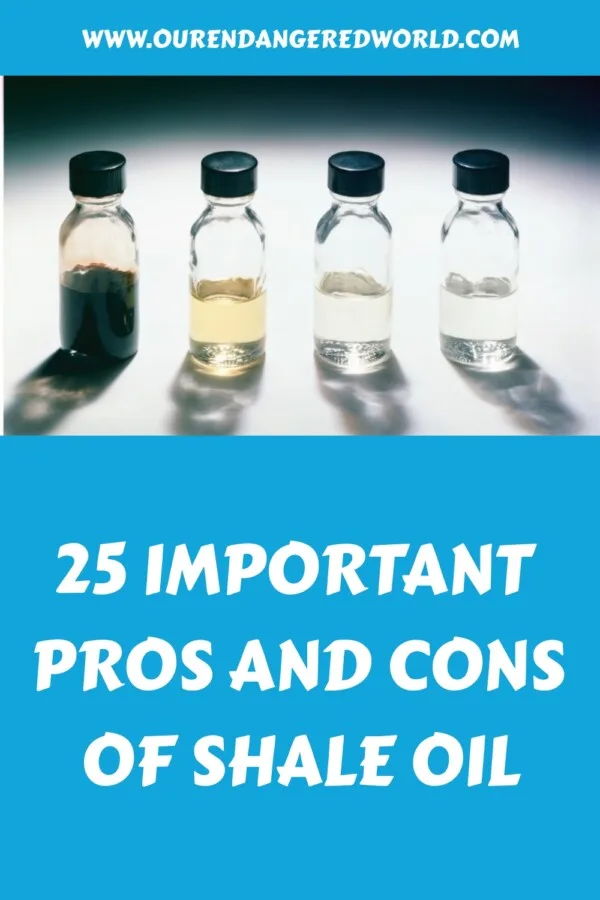 25 Important Pros and Cons of Shale Oil