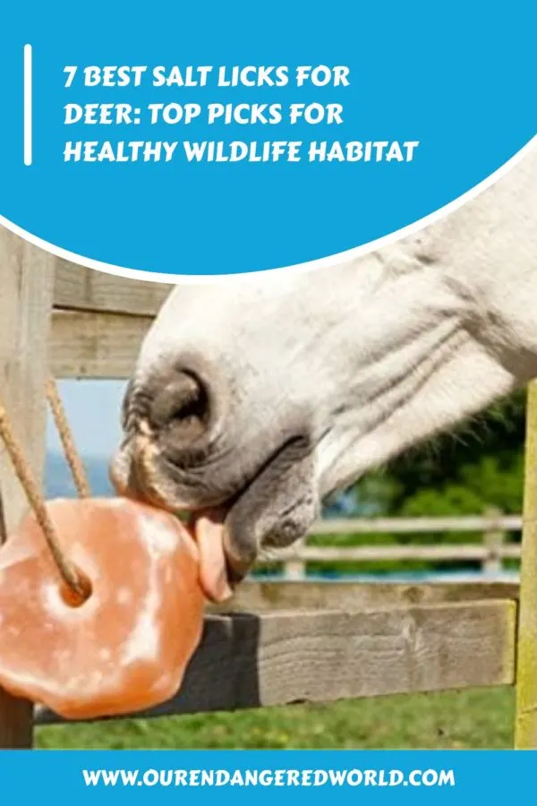 7 Best Salt Licks for Deer: Top Picks for Healthy Wildlife Habitat