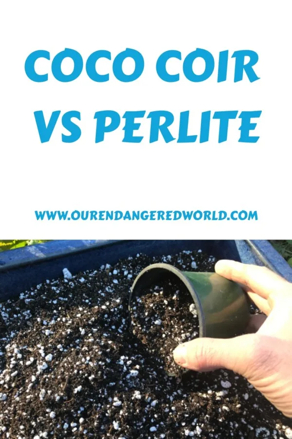 Coco Coir vs Perlite: Which is Best?