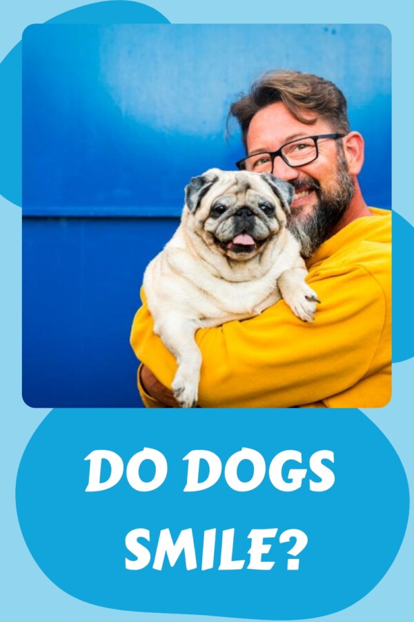 Do Dogs Smile? Understanding your Canine's Communication