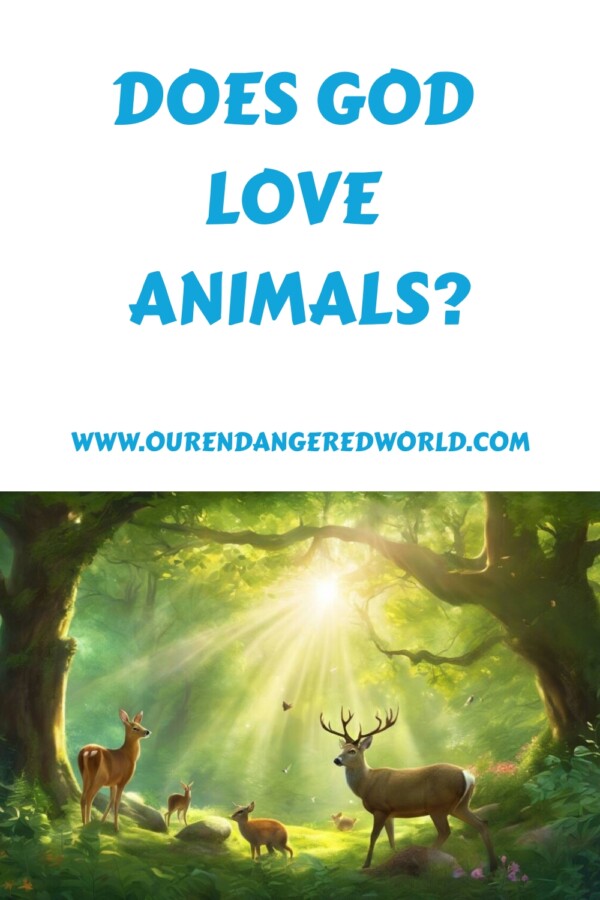 Does God Love Animals? The Surprising Answer Revealed In Scripture
