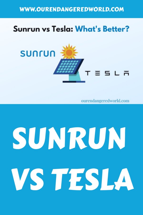Sunrun vs Tesla: What's Better?