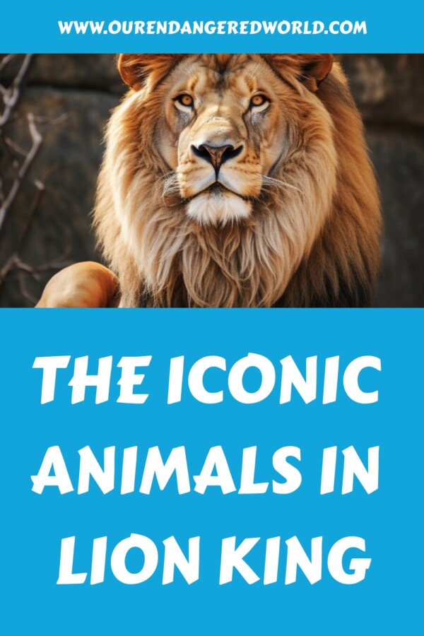 The Iconic Animals in Lion King… Explored!