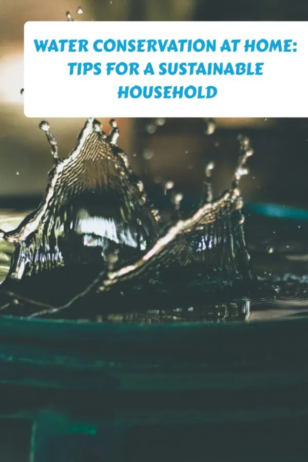 Water Conservation at Home: Tips for a Sustainable Household