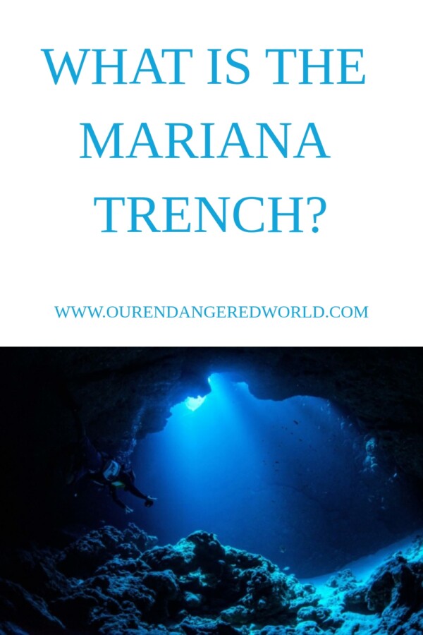 Mariana Trench: Exploring the Deepest Oceanic Abyss