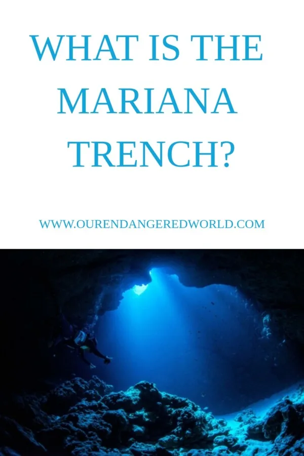 Mariana Trench: Exploring the Deepest Oceanic Abyss
