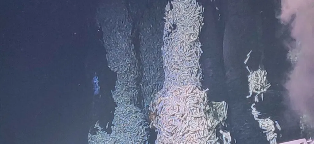 Hydrothermal Vents: The Mysteries of the Ocean's Powerful Underwater ...