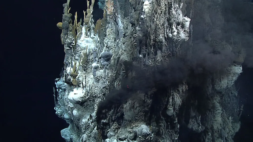 How Do Ocean Trenches Form? Learn the Secrets of the Deep Sea