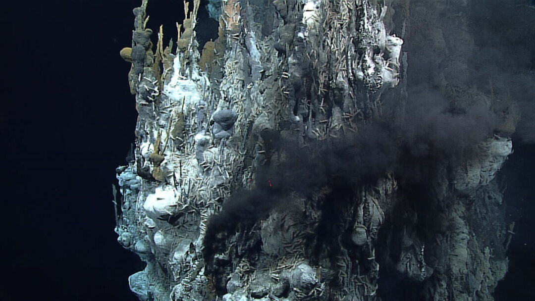 How Do Ocean Trenches Form? Learn the Secrets of the Deep Sea